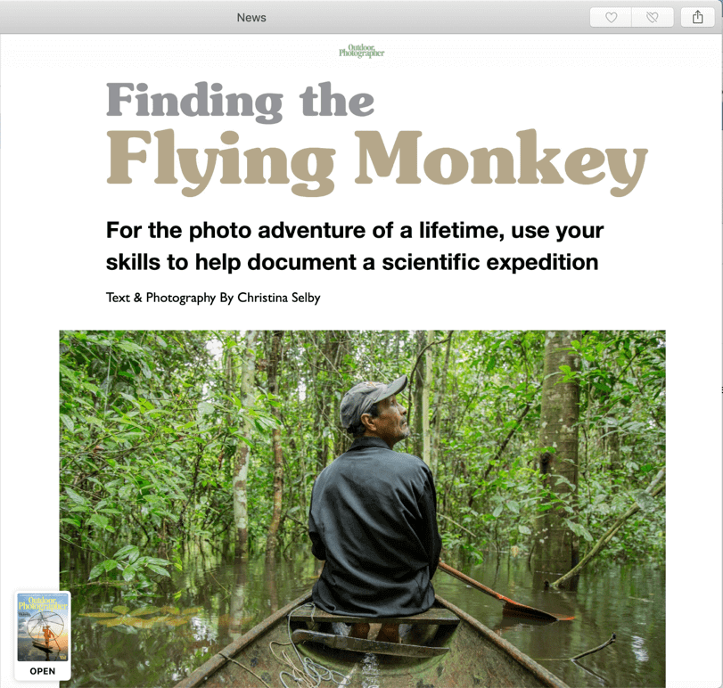 12 Best Publishing Software: Top Picks By Category | eMagazines