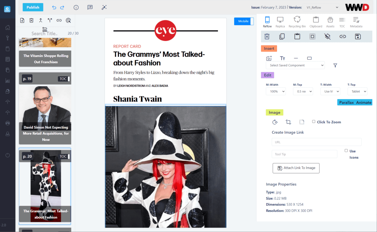 The Publisher's Guide to Digital Magazine Production | eMagazines